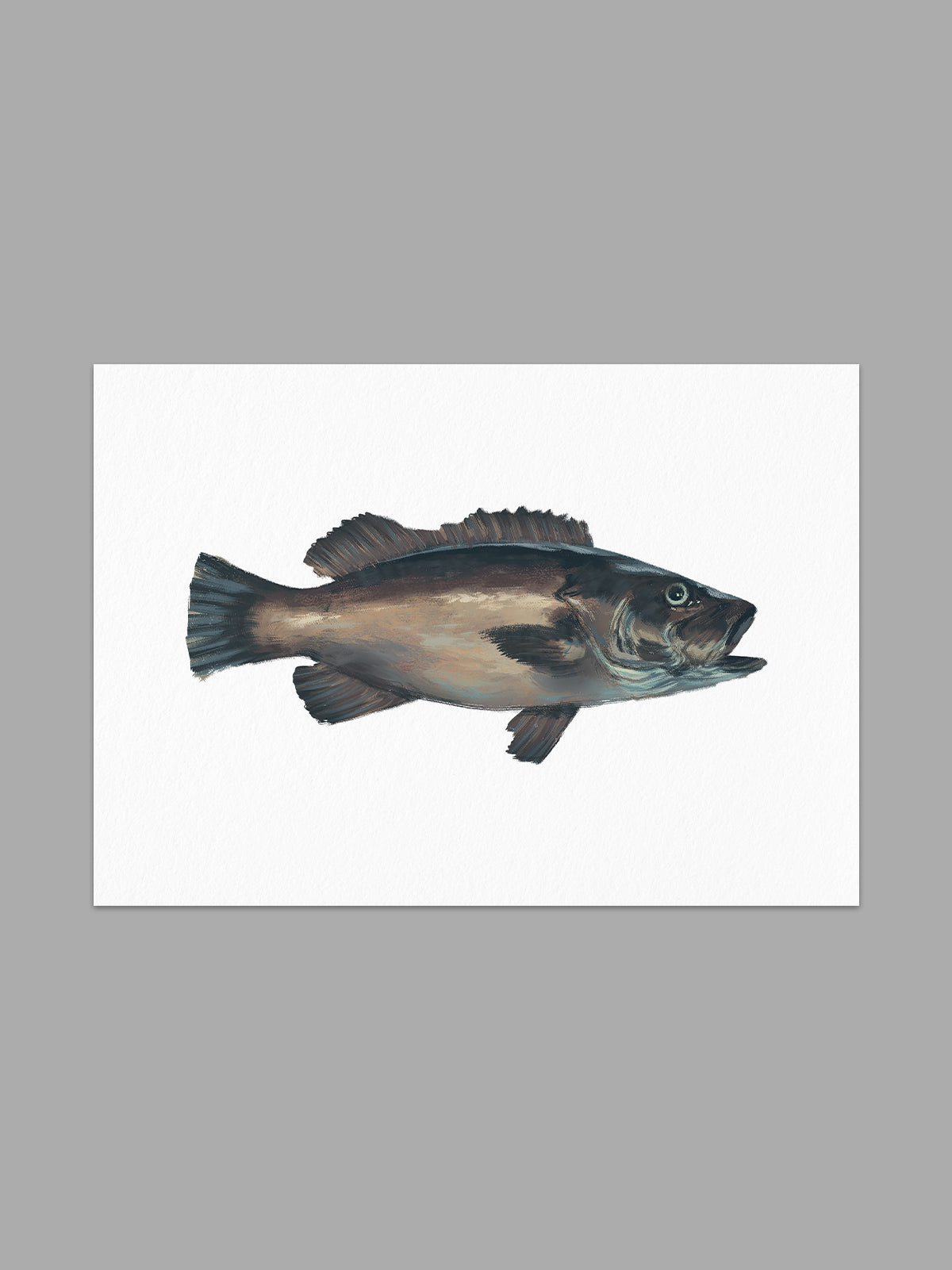 HAPUKA A3 PRINT– Just Another Fisherman