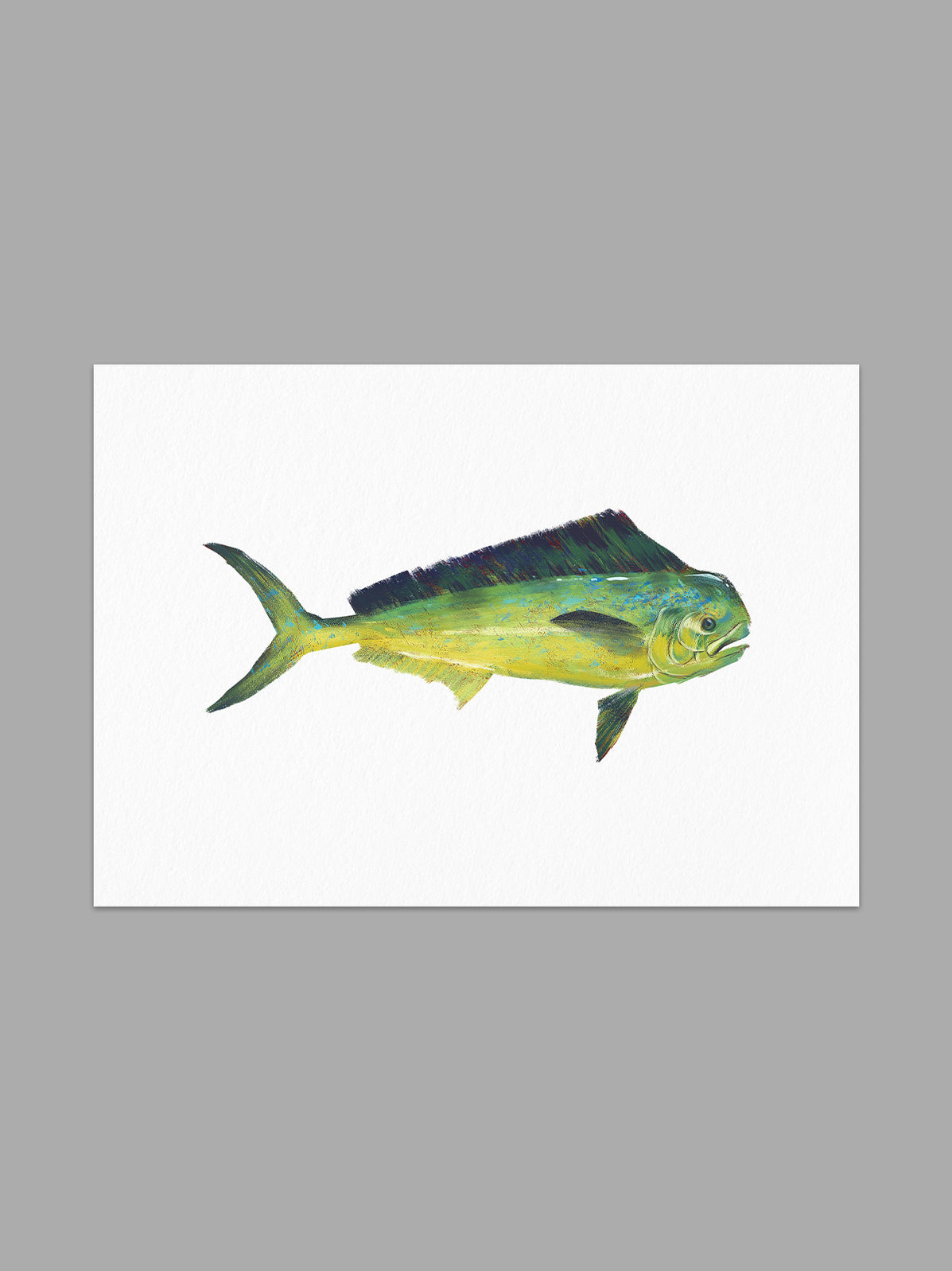 MAHI MAHI A3 PRINT– Just Another Fisherman
